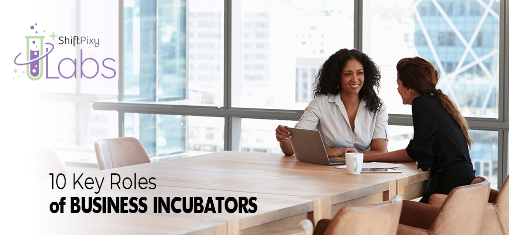 10 Key Roles of Business Incubators - ShiftPixy Labs